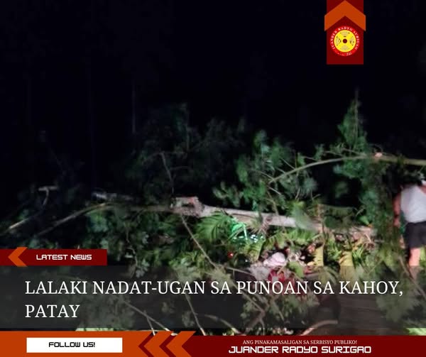 𝗟𝗔𝗟𝗔𝗞𝗜 𝗡𝗔𝗗𝗔𝗧-𝗨𝗚𝗔𝗡 𝗦𝗔 𝗣𝗨𝗡𝗢𝗔𝗡 𝗦𝗔 𝗞𝗔𝗛𝗢𝗬, 𝗣𝗔𝗧𝗔𝗬 - Juander Radyo Official Website | Juander Radyo ...